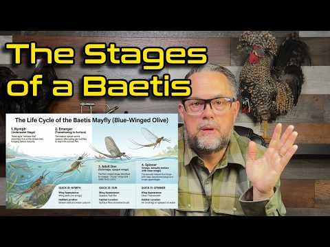 Catch More Trout During Baetis Hatches I Beyond the Dry Fly