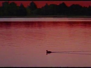 PolyGram Films - Lyrick Studios