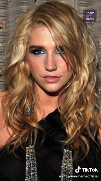 On this day in 2009, the Facebook page was launched for Boo the World’s Cutest Dog! #knowyourmeme #boo #pomeranian #worldscutestdog