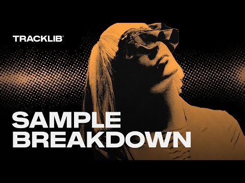 Sample Breakdown: Sia - Elastic Heart