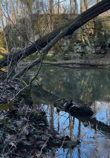 Cave Springs at Wheeler NWR in Decatur, AL - this is an easy short walk to a rock house and cave, which is fenced to protect the endangered gray bats. GPS directions take you to a spot on a gravel road with a road barrier in front of you. Look to your right and you should see the path in the trees. The cave is just a few yards ahead. I’ve been in a creative slump for weeks. Hopefully it is over. @🧚‍♀️🐾Bella Rose⚘️ #alabama #fyp #naturelover #waterfall #nature @FiveFingerDeathPunch