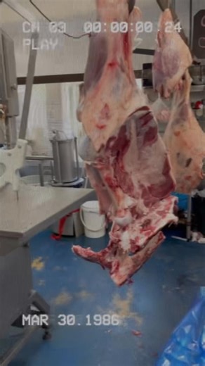 We would just like to congratulate our apprentice Mat (Ted) for entering his second year of his apprenticeship. Mat has shown dedication through persistent hard work and an eager to learn. Mat is cutting and packing an impressive window display putting together epic raffle trays and breaking down all carcasses! WOW! You impress us everyday and we thank you for your hard work and dedication to this trade. We are so proud of you Ted for all that you have achieved so far. We can’t wait to see what 