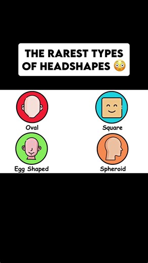 Different Head Shapes Explained: Oval, Square, Egg-Shaped, Sphereoid