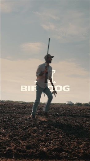 Sights and Sounds of Dove Season