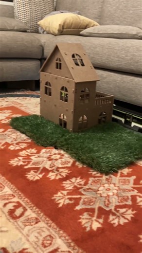 LEGO City Express 60337 Train remote control