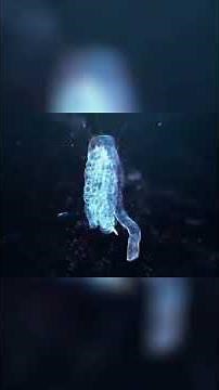 The Intricate Web of Life: Why Every Connection Matters