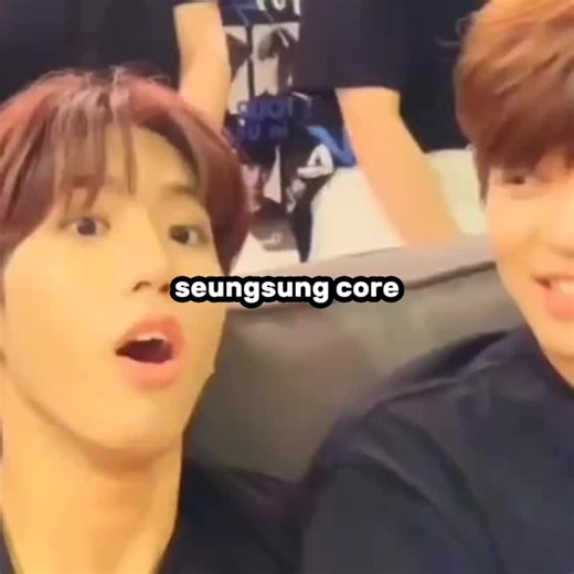 Stray Kids Seungmin Fancam Highlights