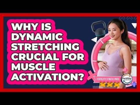 Why Is Dynamic Stretching Crucial For Muscle Activation? - Fertility Fitness Pro