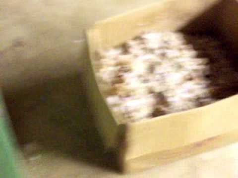 Make FREE wood pellets from recycled junk mail to run your pellet stove.