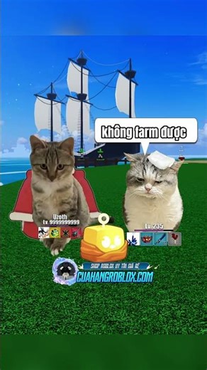 Hắc cơ l.ỏ chơi lớn trước mặt admin Uzoth #roblox #bloxfruits