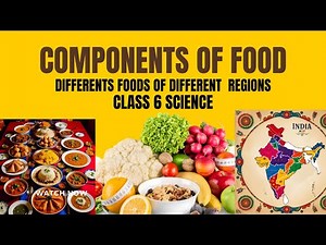 Components of Food 2 | Different Foods of Different Regions | Class 6 Science