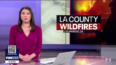 San Francisco SPCA waiving puppy adoption fees, opens doors to SoCal animals