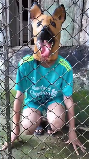 🎉 #TIMELAPSE, START to FINISH Alone BUILDLOG Cabin (Wooden #timesten #timelimit #thefalling 🙏