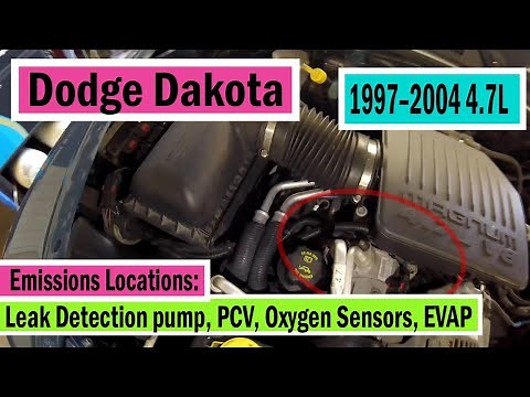 ⫷ Dodge │ Dakota │ 1997 - 2004 4.7L │ Emissions Locations: PCV, Lead Detection, EVAP, Oxygen sensor