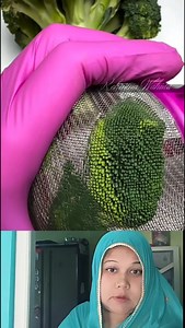 Duplicate broccoli 🥦🥦😯😯😯 #broccoli #duplicate #fbreelsviral #everyone #viral #clay #creativity #share #reel #fbpost2025シ #OMG #ideas #hack | Rehmina Wahida