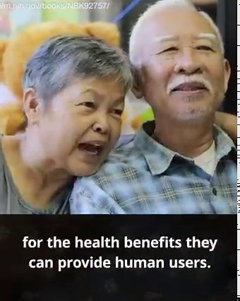 35K reactions · 20K shares |  Is it ok to feed your dog bananas?...