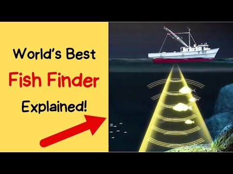 The Best FISH FINDER in the World!! (Newest Sonar Technology Explained!)