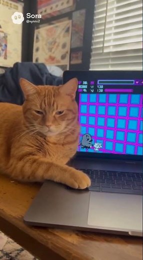 Cats Play PC Game. #cat #shorts