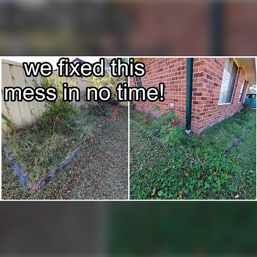 Restoring Neglected Yard - Amazing Lawn Transformation | Blade Mate Lawn Care