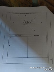 Give the size of the unknown angles, with reason.The diagram ... | Filo
