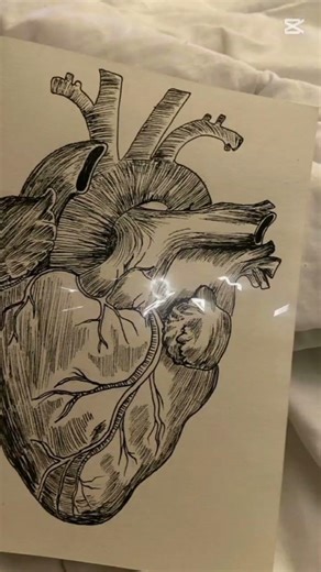 Rasmlar chizamiz (ramkalar) #newvideo #like #pleasesubscribe #drawing #art