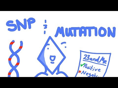 SNP vs Mutation and Genetic Tests