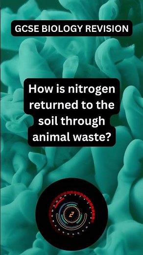 GCSE Biology Paper 2 [Nitrogen Cycle] | Science Quiz Question #162