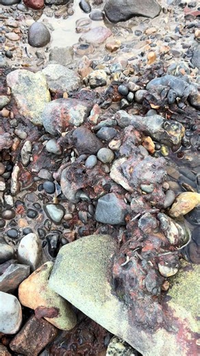 Hand made copper Tudor period nails all smelted into big lumps on the river Thames. It’s like its own piece of art work. #riverthames #mudlarkingfinds #london #fulllondonmudlark #mudlarking