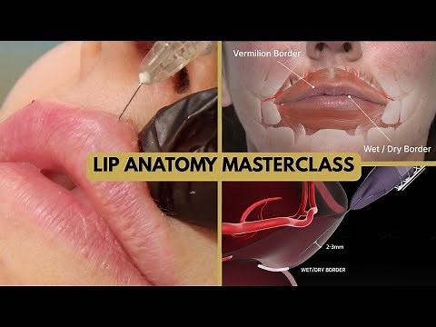 Lip Filler Tutorial - How to Avoid Crucial Lip Arteries when Injecting Lips