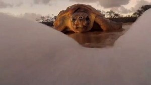 3.5K views · 108 reactions | It’s the start of November—and you know...