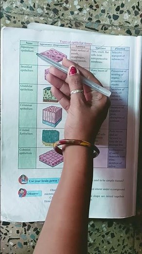 Type of epithelial tissue#science .