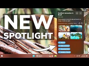 How to Enable New Spotlight UI with 3 Variants in Windows 11 25281