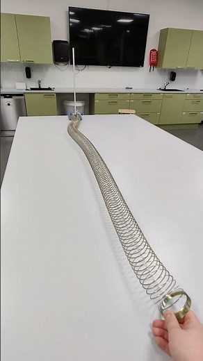 Longitudinal and transverse wave motion with a slinky spring