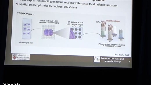 Ying Ma || 空间转录组学中细胞类型反卷积的统计和计算方法 | CGSI 2025