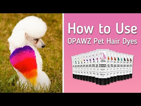 How to Use OPAWZ Pet Hair Dye to Create Rainbow Dog