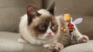 Ad of the Day: Grumpy Cat Gets Stung by the Honey Nut Cheerios Mascot