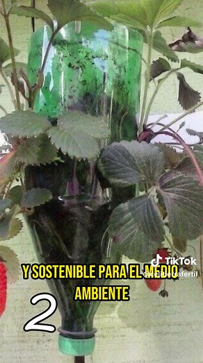 Usos y Reciclaje del Polietileno Tereftalato (PET)