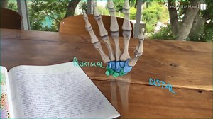 The future of med school looks insanely cool. | Vocativ