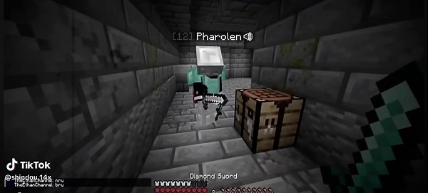 new video by sword4000... #sword4000 #100players #minecraft