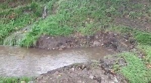 Our Torridge River Restoration Project team worked alongside this landowner, Glenn, to install the sediment ponds to trap small volumes of sediment from the yard AND they also help with natural flood management. Environment Agency | Devon Wildlife Trust