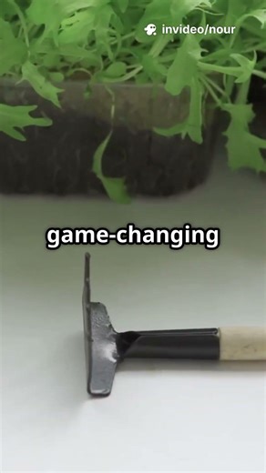 The SHOCKING Reason 90% of Your Houseplants Die! 🤫 #houseplants #plantcare #plants #greenlove