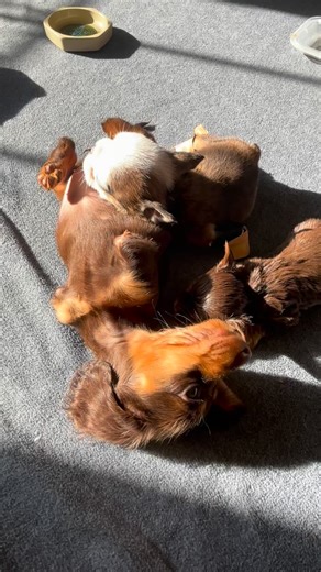 25K views · 896 reactions | One of these 3 is not like the others 藍 Oh Matilda殺 | Cleft Rescue Unit | Facebook