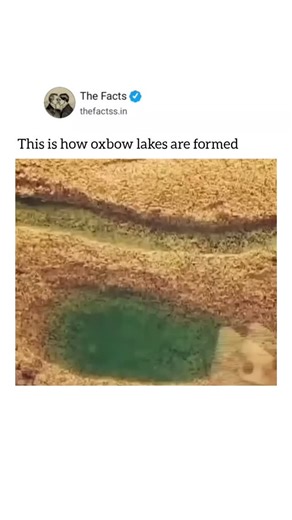 The Facts on Instagram: "Oxbow lakes are formed through a natural process involving the erosion and deposition of sediment by rivers. Here’s a step-by-step explanation: 1. Meandering River: Rivers often develop bends or curves known as meanders as they flow across a landscape. These meanders are constantly changing due to erosion and deposition. 2. Erosion and Deposition: The outer bank of a meander experiences erosion, while the inner bank experiences deposition. This causes the meander to beco