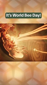 It's #WorldBeeDay ! Bees are just as important in our world as the Bee Amulet is to Oddworld! #SaveTheBees Game? 👉 Oddworld: Soulstorm 🐝 #Oddworld #Cinematic #CutScene #OddworldSoulstorm #Soulstorm #GameCinematics | Oddworld Inhabitants