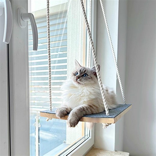 Wooden Cat Window Perch, Cat Window Hammock, Cat Shelves, Cat Furniture, Cat Window Shelf - Etsy