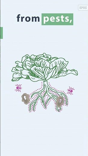 Plant protection products