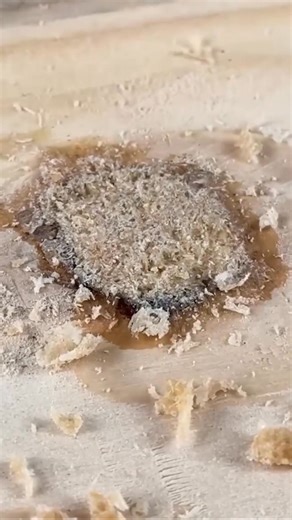 8.6K views · 13 reactions | Dustin Mitchell on Reels | Facebook