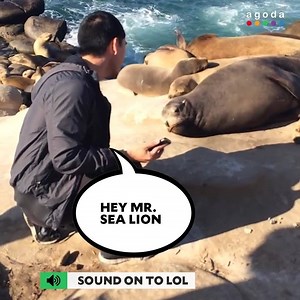 583 reactions · 15 shares | Stop taking selfies and start enjoying your holiday – this guy won't tell you twice. Crank your sound to lol with Ozzy Man Reviews and check out the link to book over 1.8 million properties worldwide. | agoda | Facebook