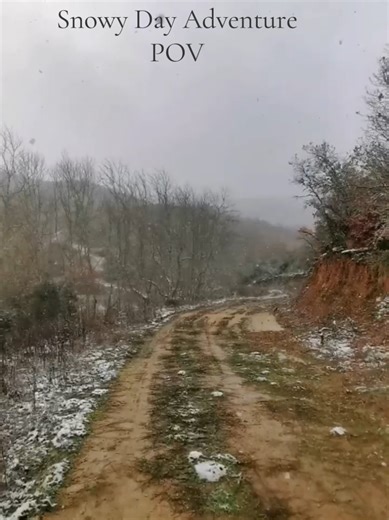 Snowy Day Excursion ❄️ Home Video 📼 We walked to the creek and took the winding mountain road back home🚶🏻‍♀️we would call Meşe the dog from time to time...when suddenly we heard yowling! Y identified the calls coming from This Guy, our adventure cat. This Guy likes to travel but we were beyond surprised to find him at a barely used mountain road on this snowy day!🏔 He likes to walk with us, so with cat and dog we stopped by an old well and continued back to our sweet home ✨️ We made sure to 
