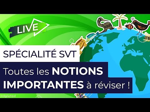 Bac 2024 : 1 h pour tout réviser sur ta spé. SVT !